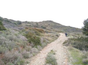 A day trip to the Ancient Theater of Thorikos from Athens - Travel the ...